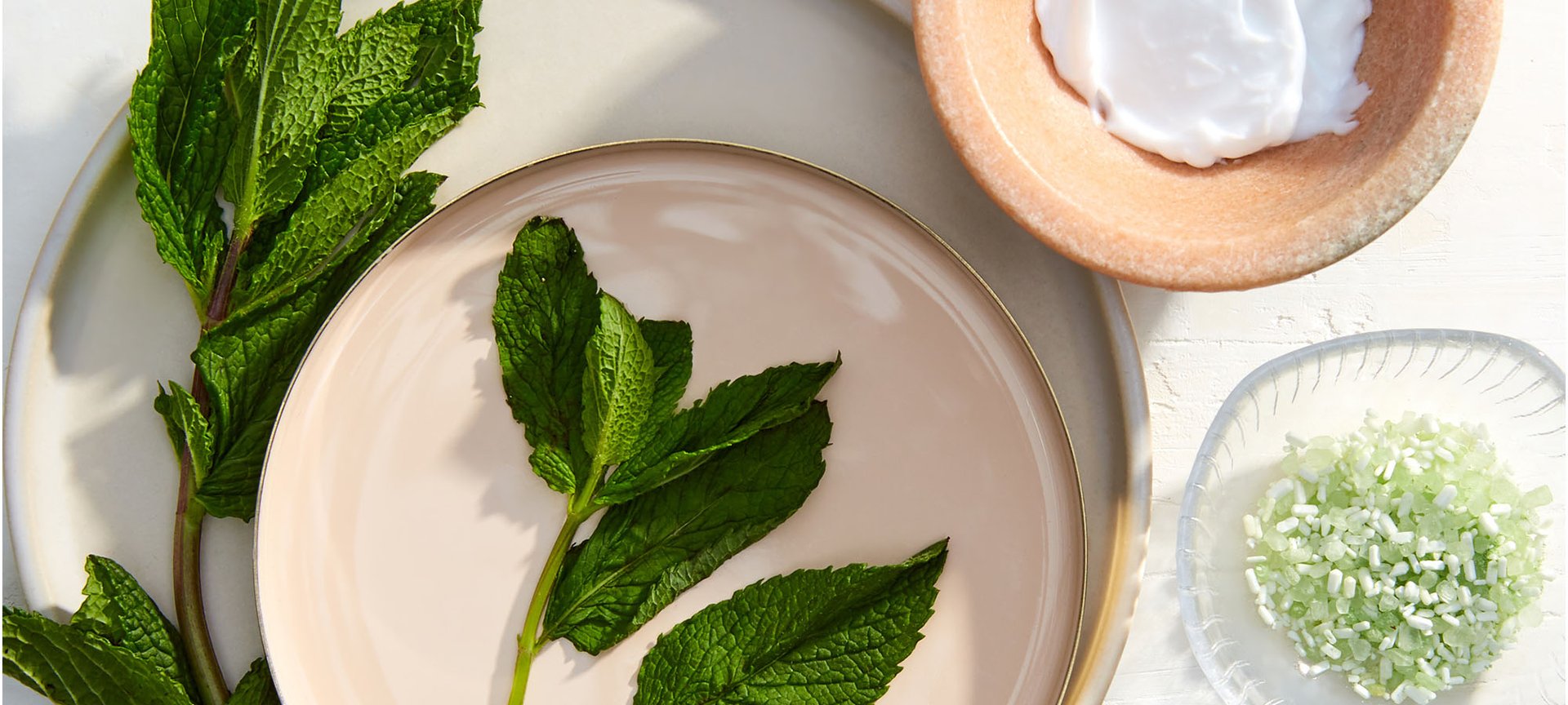 Your Complete Guide to Popular Skin Care Ingredients - L'Oréal Paris