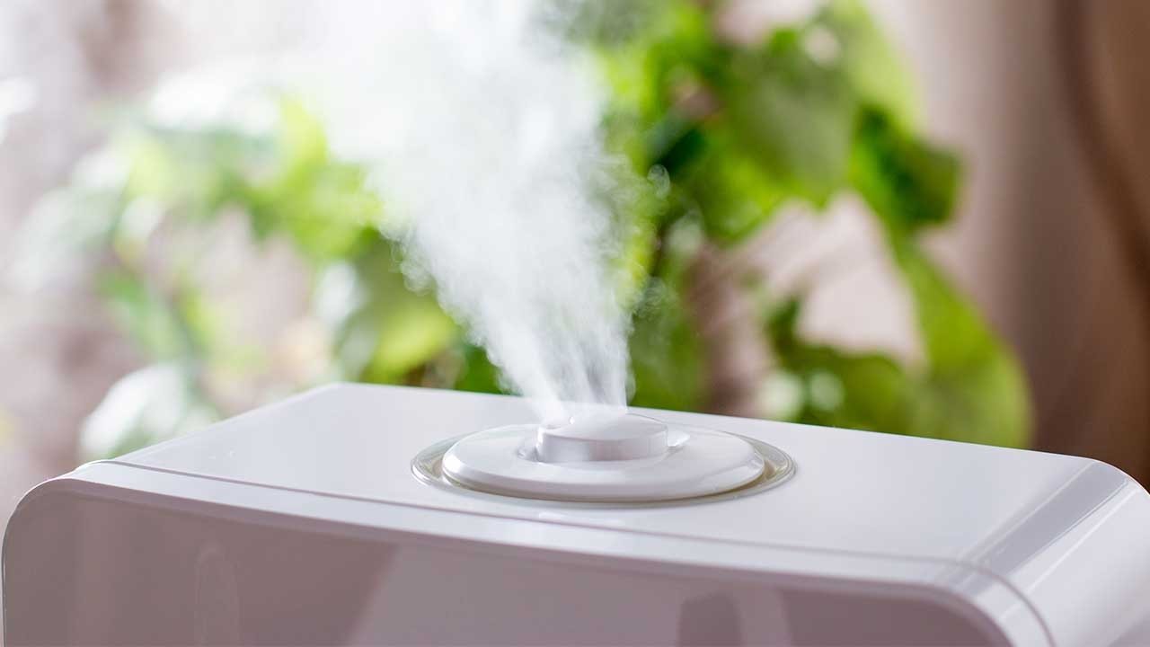 Humidifier Benefits for Your Skin - L’Oréal Paris